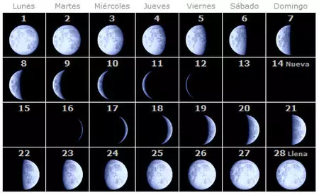 luna-kalendaro-februaro.jpg