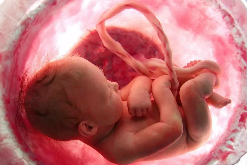 Fetal mikrokimerizm: bebekten gelen hücreler anneye geçer ve organlarını onarmaya yardımcı olur.