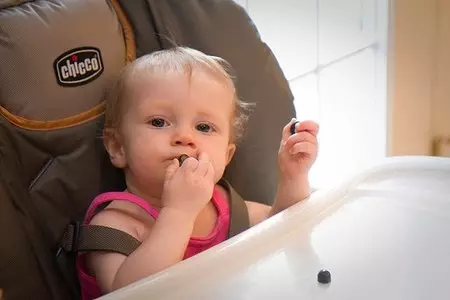 Complementary feeding: What would happen if we let them eat? 9488_2